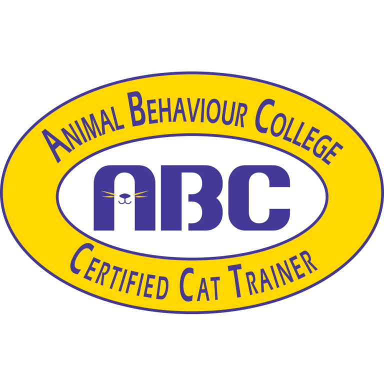 Cat Training Program | Animal Behaviour College