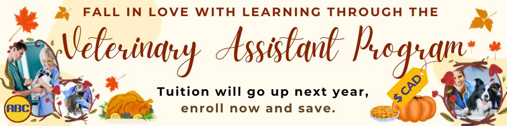 Veterinary Assistant Certification | Animal Behaviour College