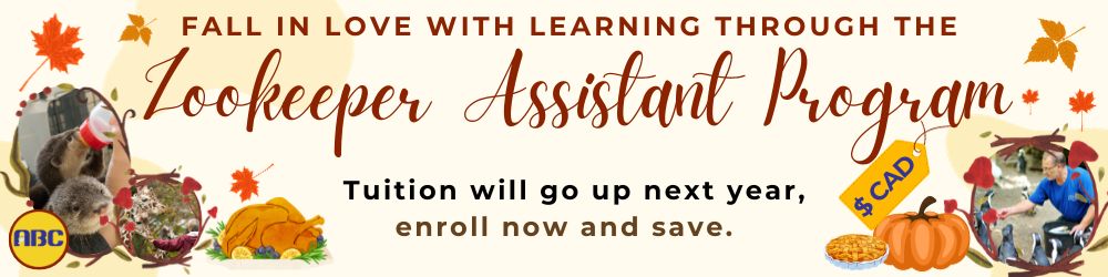 Zookeeper Assistant Certification | Animal Behaviour College