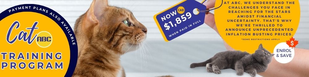 Cat Training Program | Animal Behaviour College