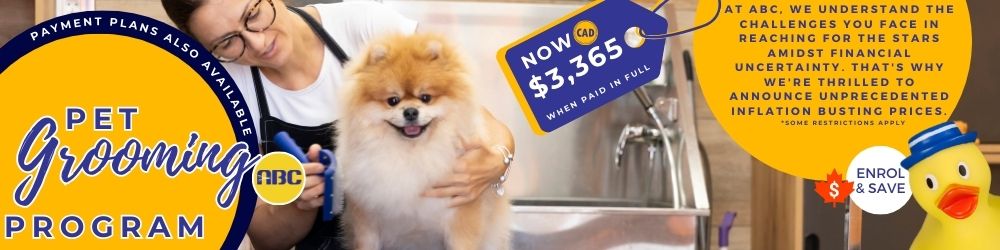 Dog Grooming Certification | Animal Behaviour College