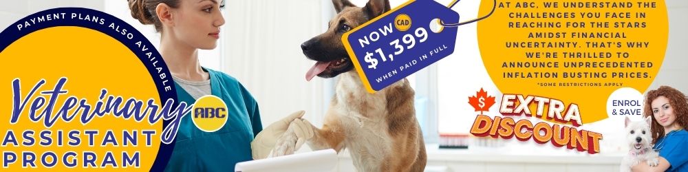 Veterinary Assistant Certification | Animal Behaviour College