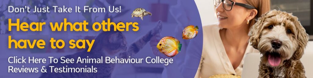Home Page | Animal Behaviour College