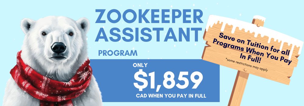 Zookeeper Assistant Certification | Animal Behaviour College